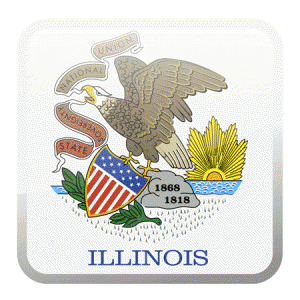 Illinois Vehicle Title Check Made Easy - Just Enter Your VIN to Begin